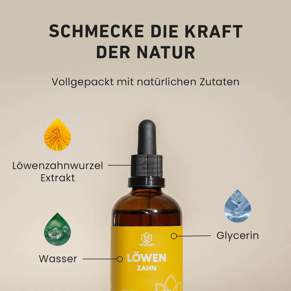 Löwenzahn Elixier – Vitafant